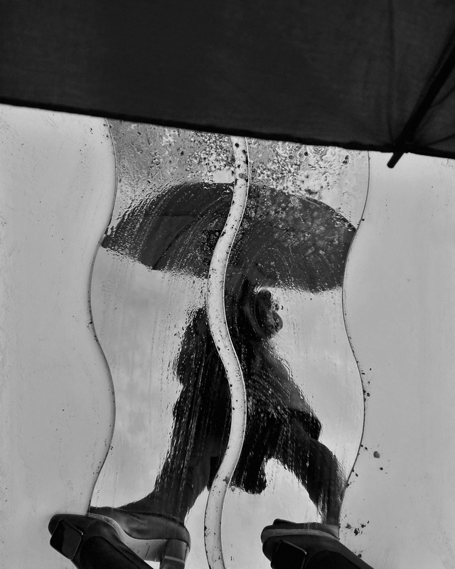 Sarah VAN RIJ - サラ・ファン・ライ | shashasha - Photography & art in books