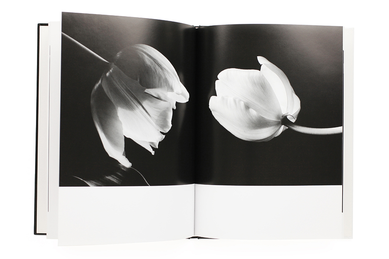 LIFE - Yoichiro NISHIMURA | shashasha - Photography & art in books