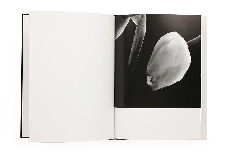 LIFE - Yoichiro NISHIMURA | shashasha - Photography & art in books